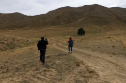 Walking with the Wind - DreamLab Films